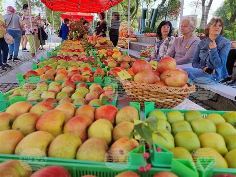 БТА ДФ Земеделие одобри две нови оперативни програми на организации на производители на