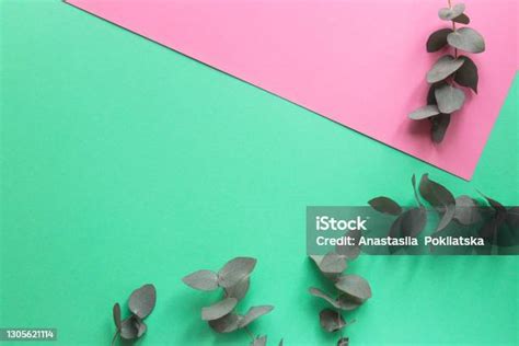 플로럴 트렌디 한 기하학적 배경 유칼립투스는 아쿠아마린과 분홍색 책상에 남습니다 디자인 초대 복사 공간이 있는 카드 용 템플릿 유칼립투스 잎에 대한 스톡 사진 및 기타