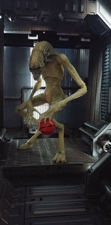 Xenomorph Hybrid Newborn By Krulos On Deviantart