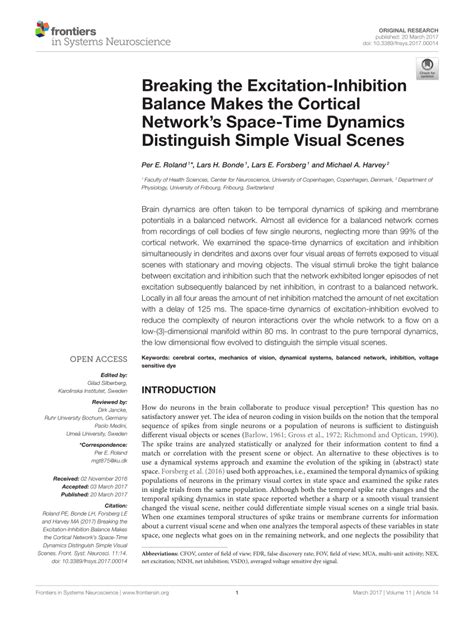 Pdf Breaking The Excitation Inhibition Balance Makes The Cortical