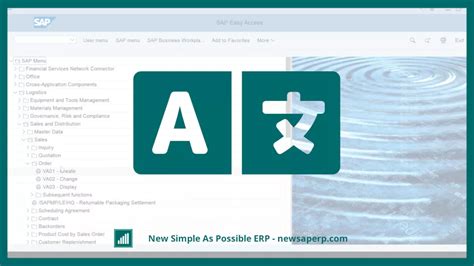 SAP GUI How To Change Language Troubleshooting