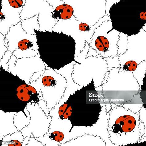 무 당 벌레와 흰색 바탕에 나뭇잎과 원활한 벡터 패턴입니다 추상 자연 배경입니다 0명에 대한 스톡 벡터 아트 및 기타 이미지 0명 가을 단풍 검은색 Istock