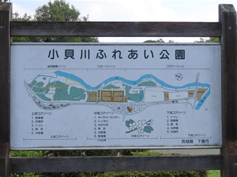 2025年8月25日に小貝川ふれあい公園とその周辺で見た虫など 怠け者の散歩道2