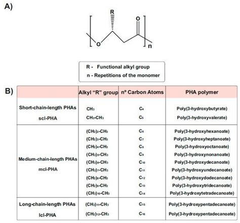 Chemical Structure Of Polyhydroxyalkanoates Phas A General Download Scientific Diagram