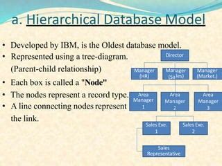 Type Of Database Models PPTX