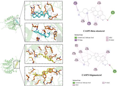 The Docking Pattern Of Receptor And Ligand Molecules Download Scientific Diagram