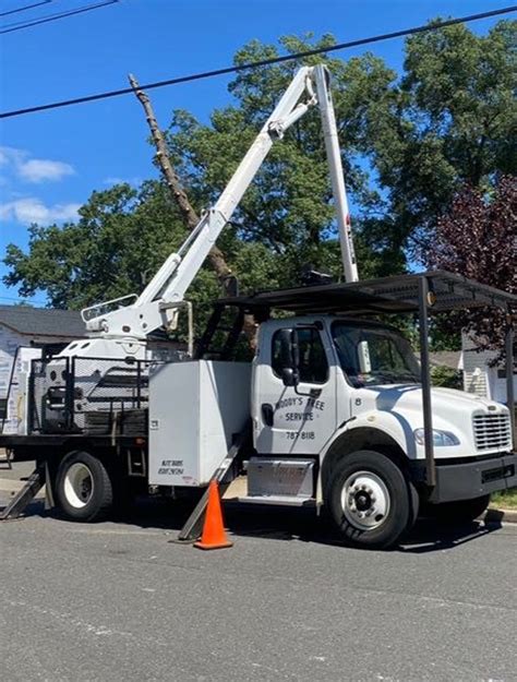 Tree Trimming Pruning Middletown NJ Tree Company Near Me