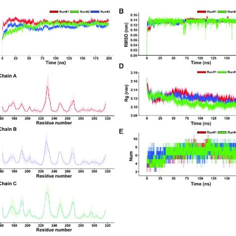 Analysis Of The Three Repeated 200 Ns Molecular Dynamics Simulations Of Download Scientific