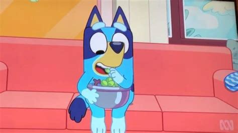 Detail In Bluey Housework Episode Confuses Viewers Because Of Danger