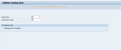 CK SAP Tcode Delete Costing Run