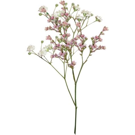 Botanical Drawings Flower Illustration Flower Icons