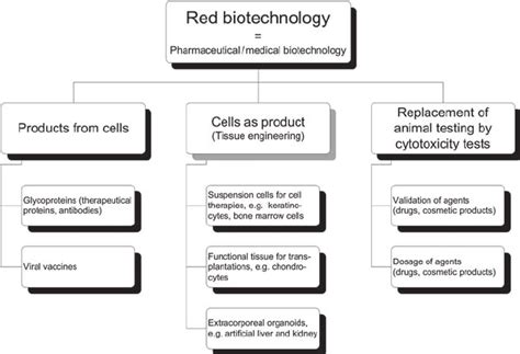 1 Application Fields Of Mammalian Cells Download Scientific Diagram