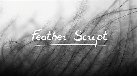Download FeatherScript Font Fontsme Com Download FeatherScript Font Fontsme Com