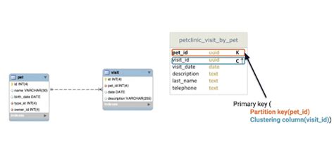 Migrating From Sql To Nosql With Spring Petclinic And Apache Cassandra Atsc