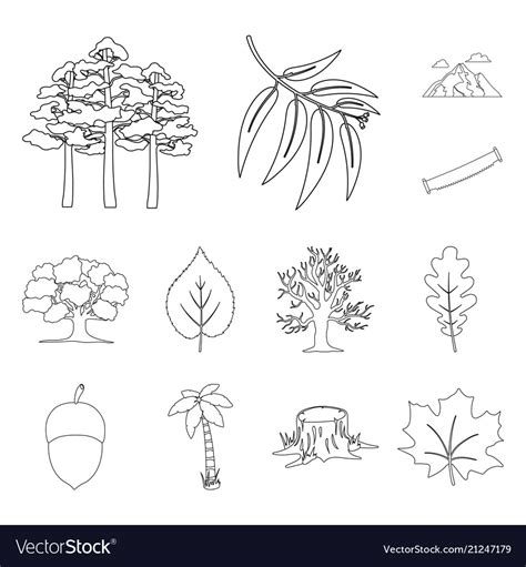 Forest And Nature Outline Icons In Set Collection Vector Image