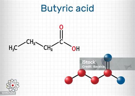 부티릭 산 부타노산 분자 부티레이트 또는 부타노아테스는 소금과 에스테르입니다 케이지에 종이 시트 구조 화학 포뮬러 및 분자 모델 산성에 대한 스톡 벡터 아트 및 기타 이미지
