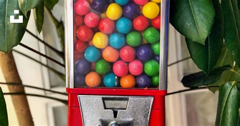 식물 옆의 검볼 디스펜서 사진 Unsplash의 무료 구체 이미지