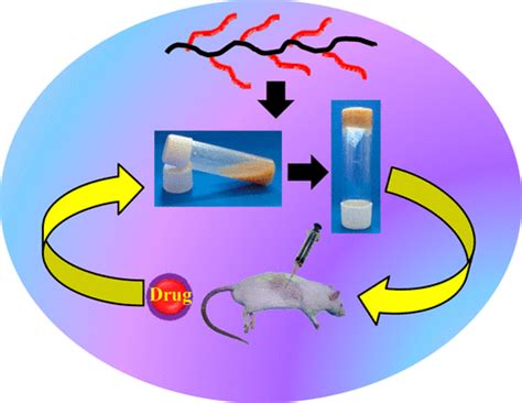 壳聚糖疏水接枝可注射水凝胶用于控制给药 Acs Applied Bio Materials X Mol