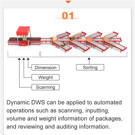 Smart Warehouse Logistic System Dynamic Dws Warehouse Irregular Parcel Sorting Machine With