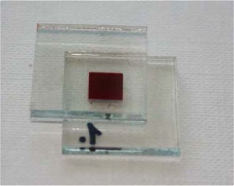 Photo Of A Representative DSC Sample N TiO Fabricated As