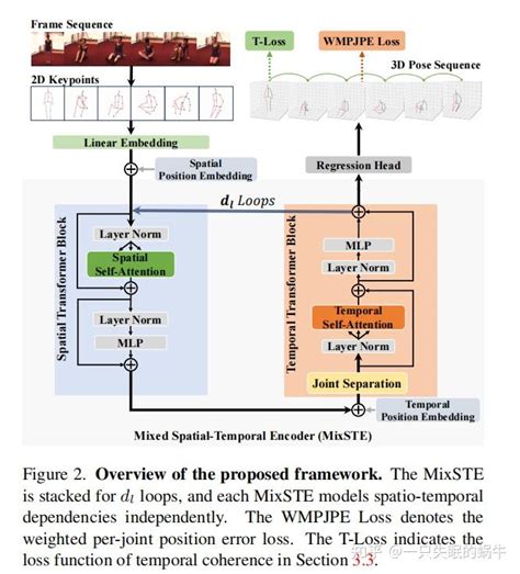 论文mixste Seq2seq Mixed Spatio Temporal Encoder For 3d Human Pose Estimation In Video Cvpr2022 知乎