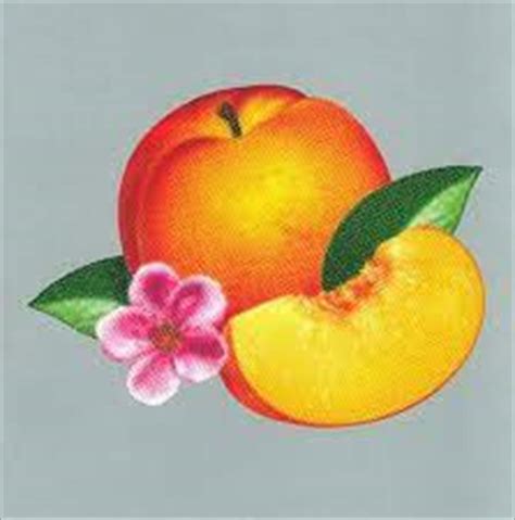 Buy Bankrupt Online Sanity