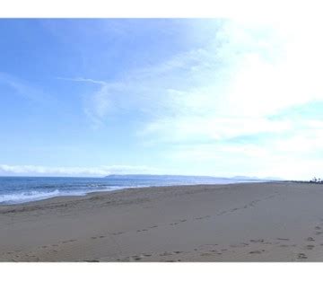 Polynesia Muses Sex And Porn Comics