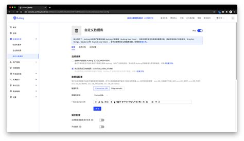配置自定义数据库 Authing 文档