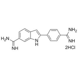 DAPI Staining Solution 1mg ML Hello Bio