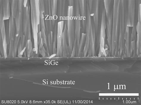 Cross Sectional Sem Image Of The Transaction Of A Zno Nanowire Pixel On Download Scientific