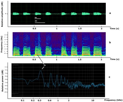 Waveform A Spectrogram B And Frequency Analysis C Of The Sound
