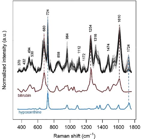 All 27 Sers Spectra Of The Dataset Normalized Overlaid Sers Spectra