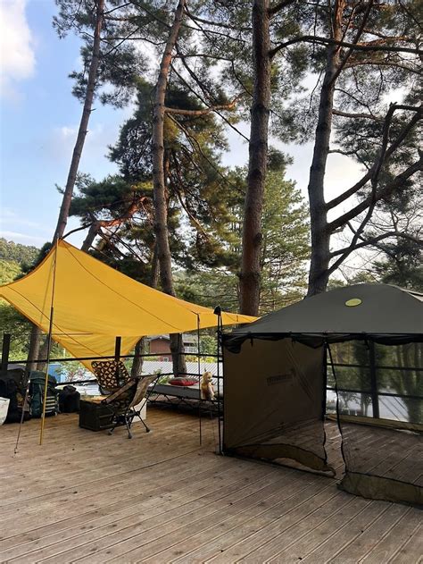 서울근교 강원도 영월 애견동반 캠핑장 추천 리스트 1