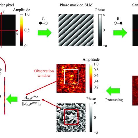 Procedure Of The Transmission Matrix Measurement Scanning Foci Are Download Scientific Diagram