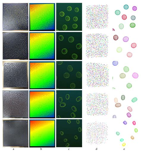 Visualization Of Scanning And Segmentation Results A Legume Seeds On
