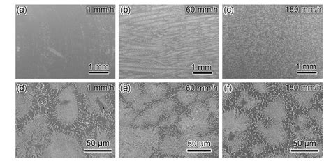 High Tensile Strength And Superelasticity Of Directionally Solidified