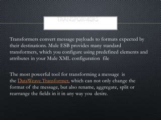 Mule Any Point Studio PPT