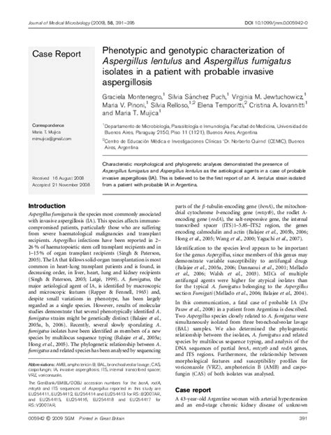 Pdf Phenotypic And Genotypic Characterization Of Aspergillus Lentulus