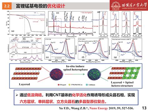 转自第五届中国锂电正负极材料技术创新与产业化研讨会，哈尔滨工业大学电化学工程系深圳大学材料学院王振波教授的分享