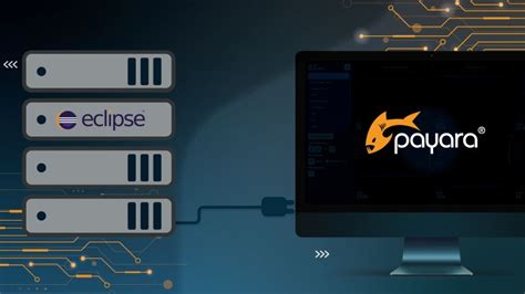 Payara Services Ltd On Linkedin Eclipseide Ide