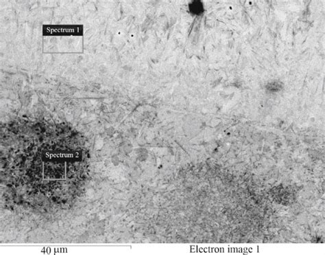 Sem Image Of The Microstructure Of The Fused On Layer And Of The Area Download Scientific