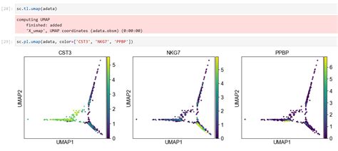UMAP Goes Wrong On Scanpy V1 7 2 Issue 2045 Scverse Scanpy GitHub