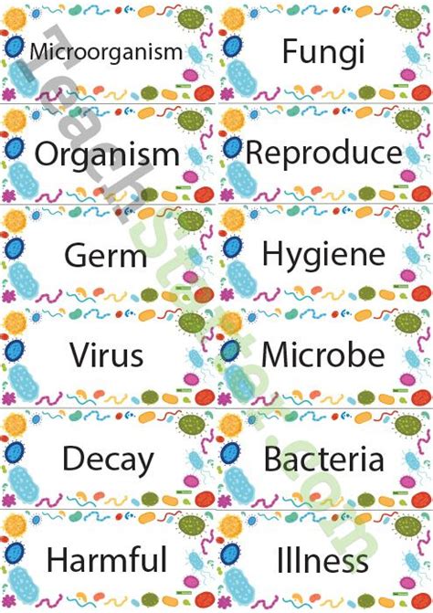 46 Best Year 6 Science Marvellous Microorganisms Images On Pinterest Microorganisms Year