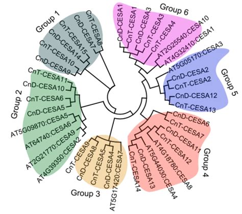 生信小工具 手把手教你从序列查找开始，绘制漂亮的进化树 微信文章 仪器谱