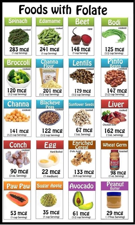 27 Foods Rich In Folate For Pregnant Women Artofit