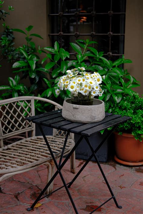 Бесплатные стоковые фото на тему Aan Lichtbak Toevoegen Atatürk Atmosfera De Outono Türkiye