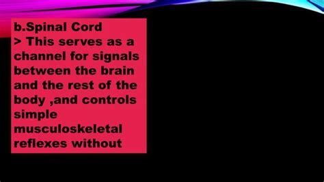 Coordination Function Of The Nervous Endocrine And Reproductive System Pptx