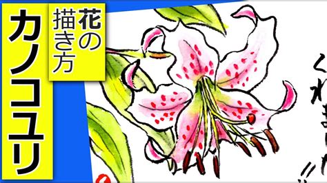 百合の描き方3夏の花の描き方7月8月9月夏初秋の絵手紙イラスト鹿の子百合 YouTube
