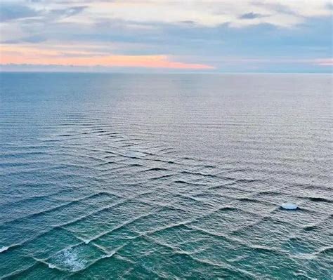 Square Waves In The Ocean Leave The Water Immediately — Heres Why Likya