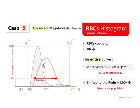 Rbc Histogram Pdf